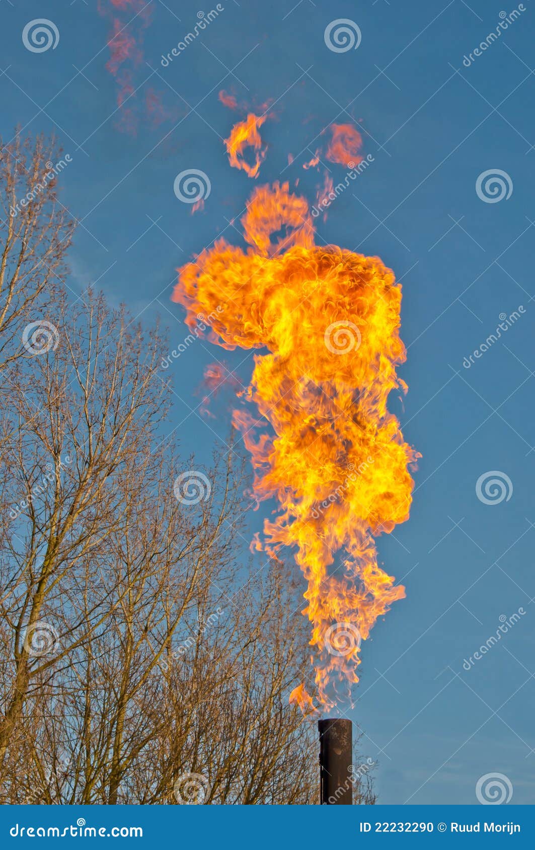 Flames Flaring Up On The Hot Plate With Sausages And Onions Stock Image ...