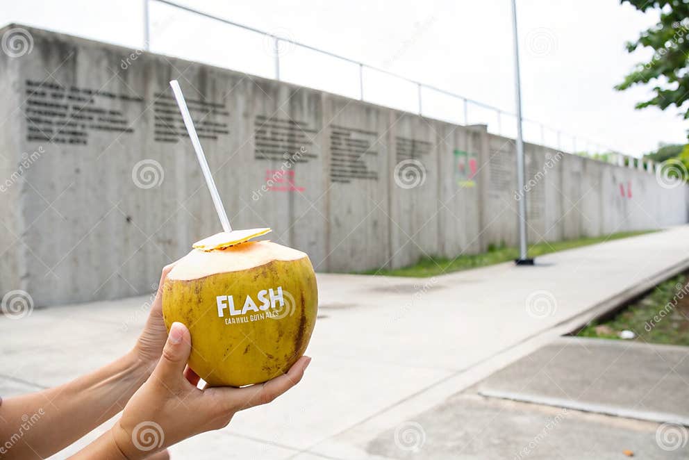 Flash Coconut Ready To Drink Stock Illustration - Illustration of flash ...