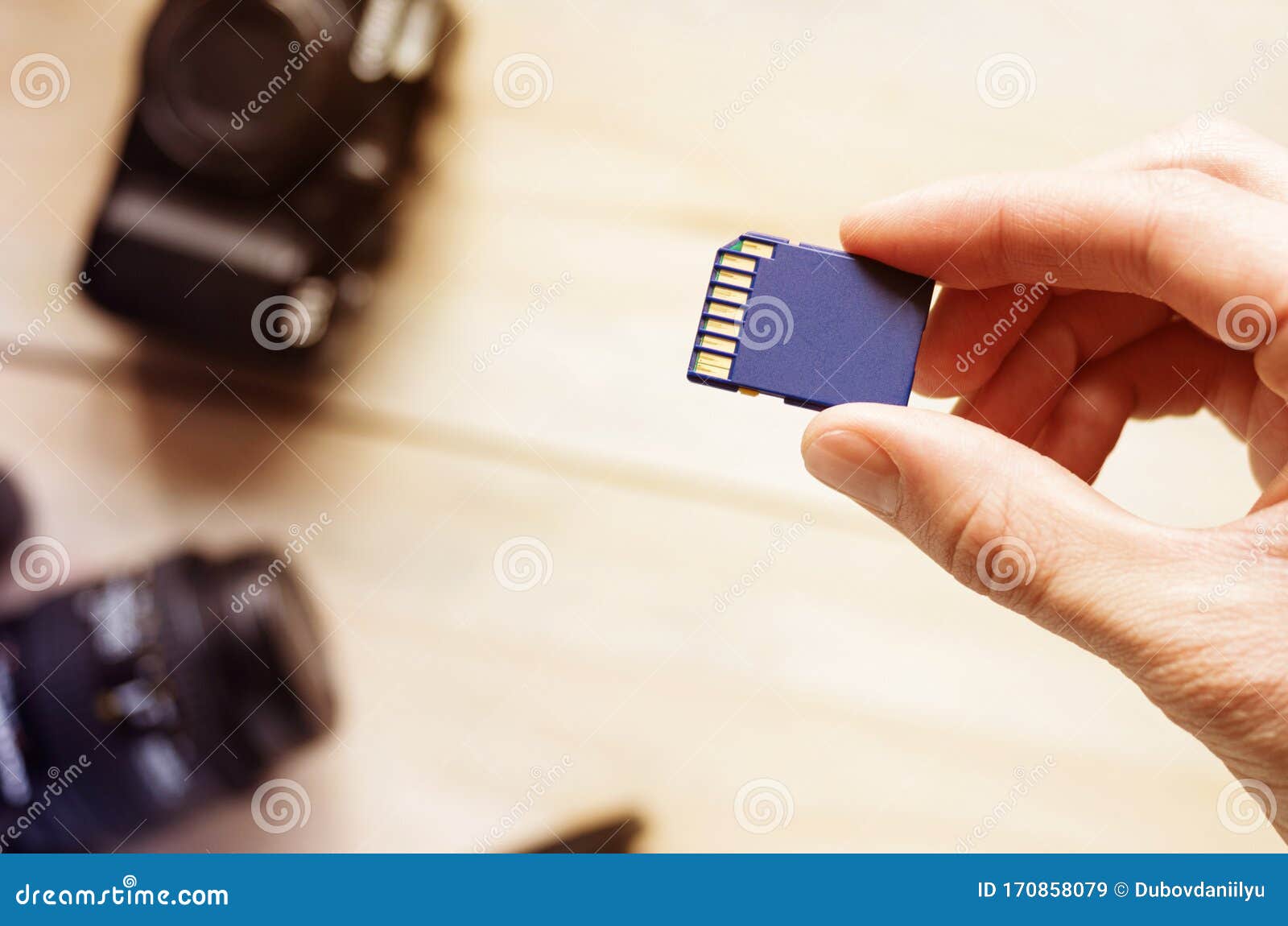 Flash Drive for Camera in Hand, Storage Card, Memory Card Stock Image ...
