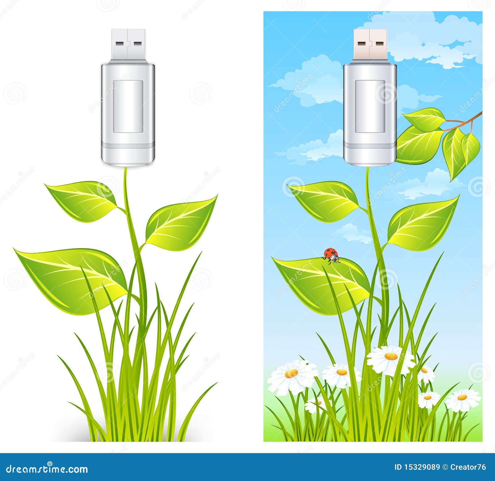 Flash drive & plant stock vector. Illustration of digital - 15329089