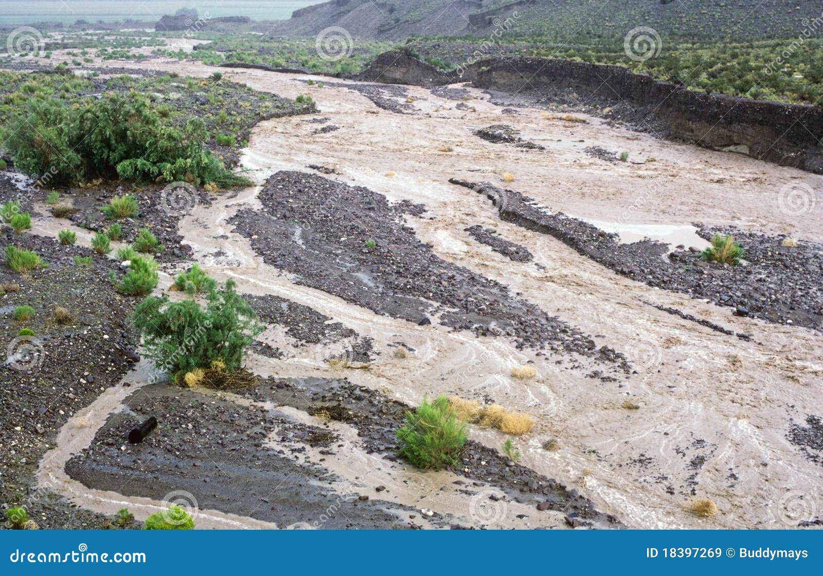 Flash Flood after a Rain Storm Stock Image - Image of stormy, flood ...