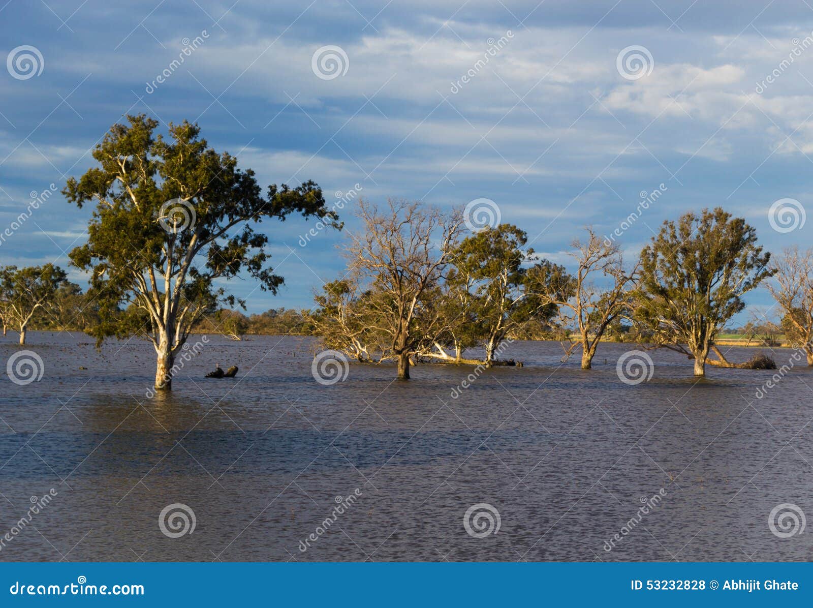 Flash floods stock photo. Image of downpour, thunderstorm - 53232828