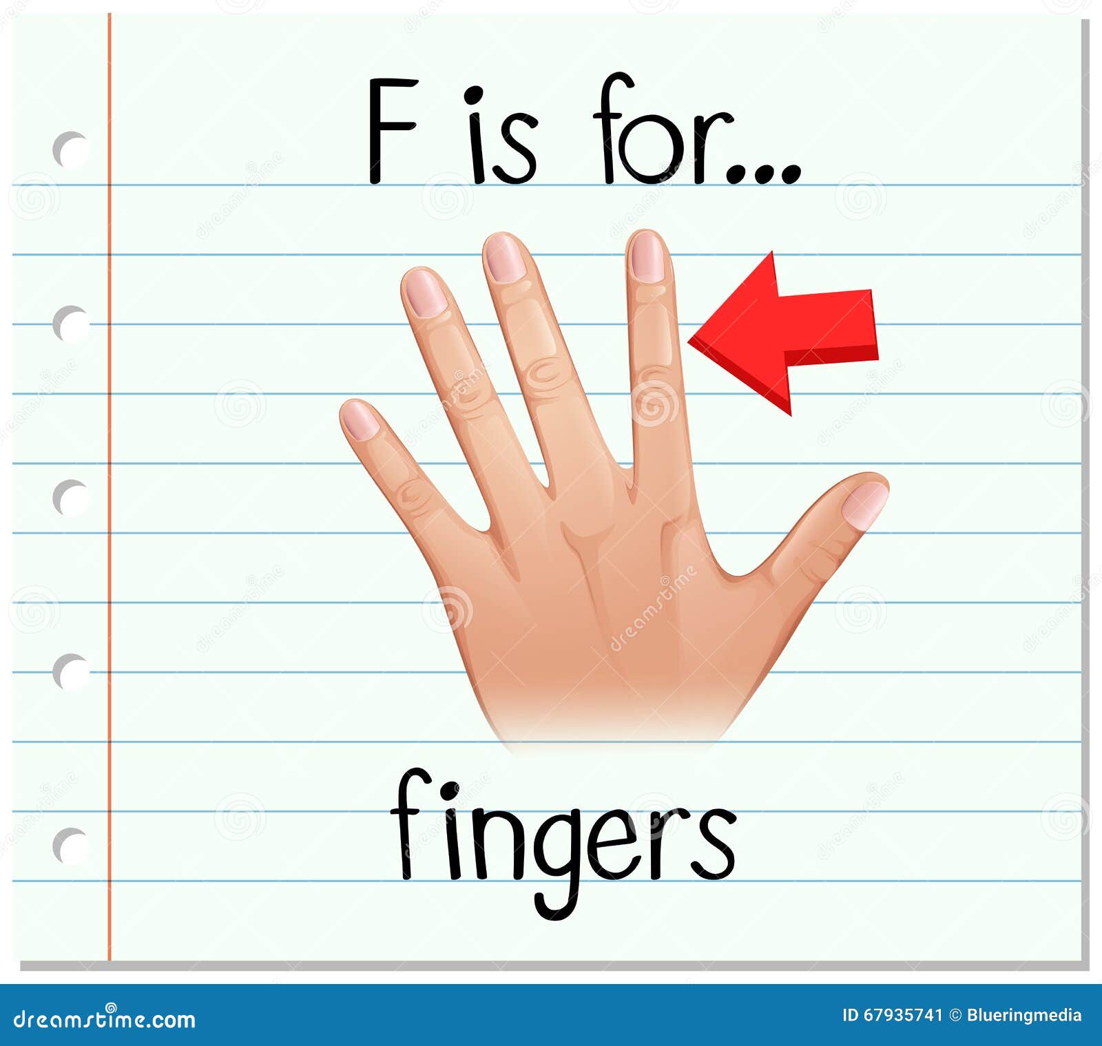 Flashcard Letter F is for Fingers Stock Vector - Illustration of ...