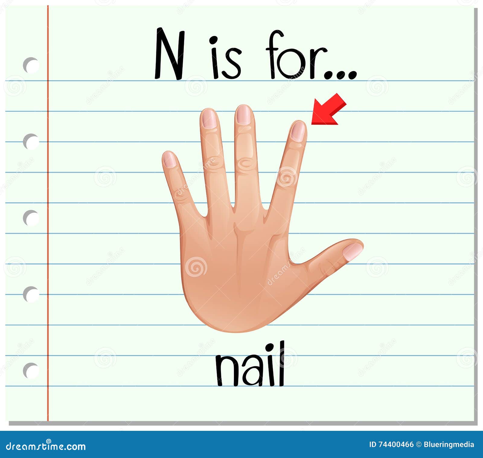 Flashcard Letter N is for Nail Stock Vector - Illustration of education ...