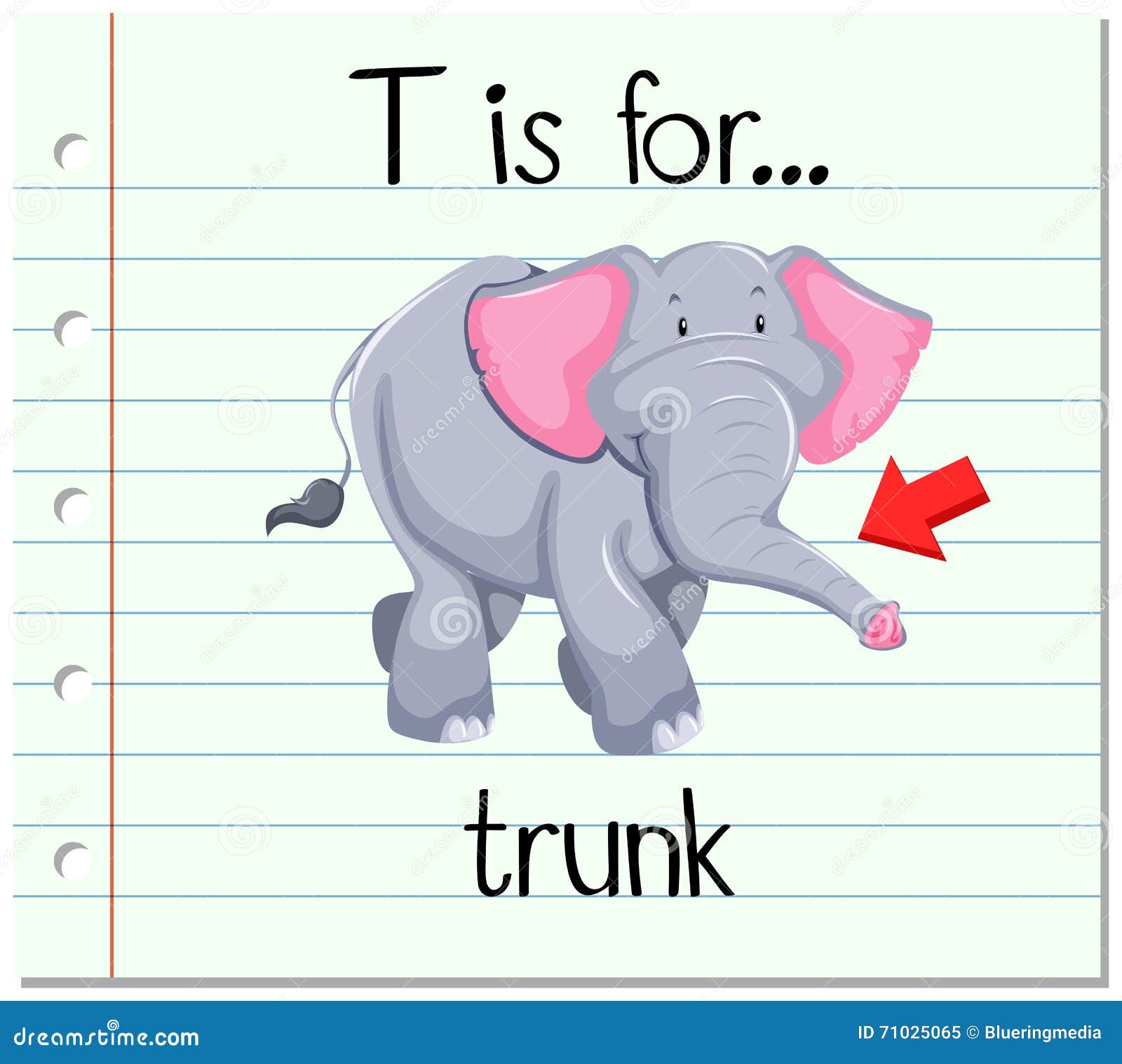 Flashcard Letter T is for Trunk Stock Vector - Illustration of living ...