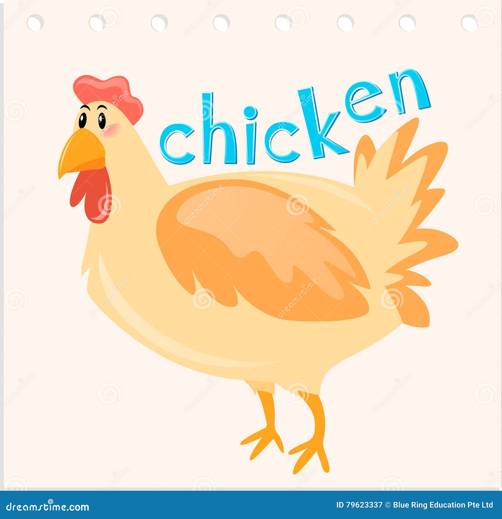 Flashcard with Word Chicken Stock Vector - Illustration of font ...