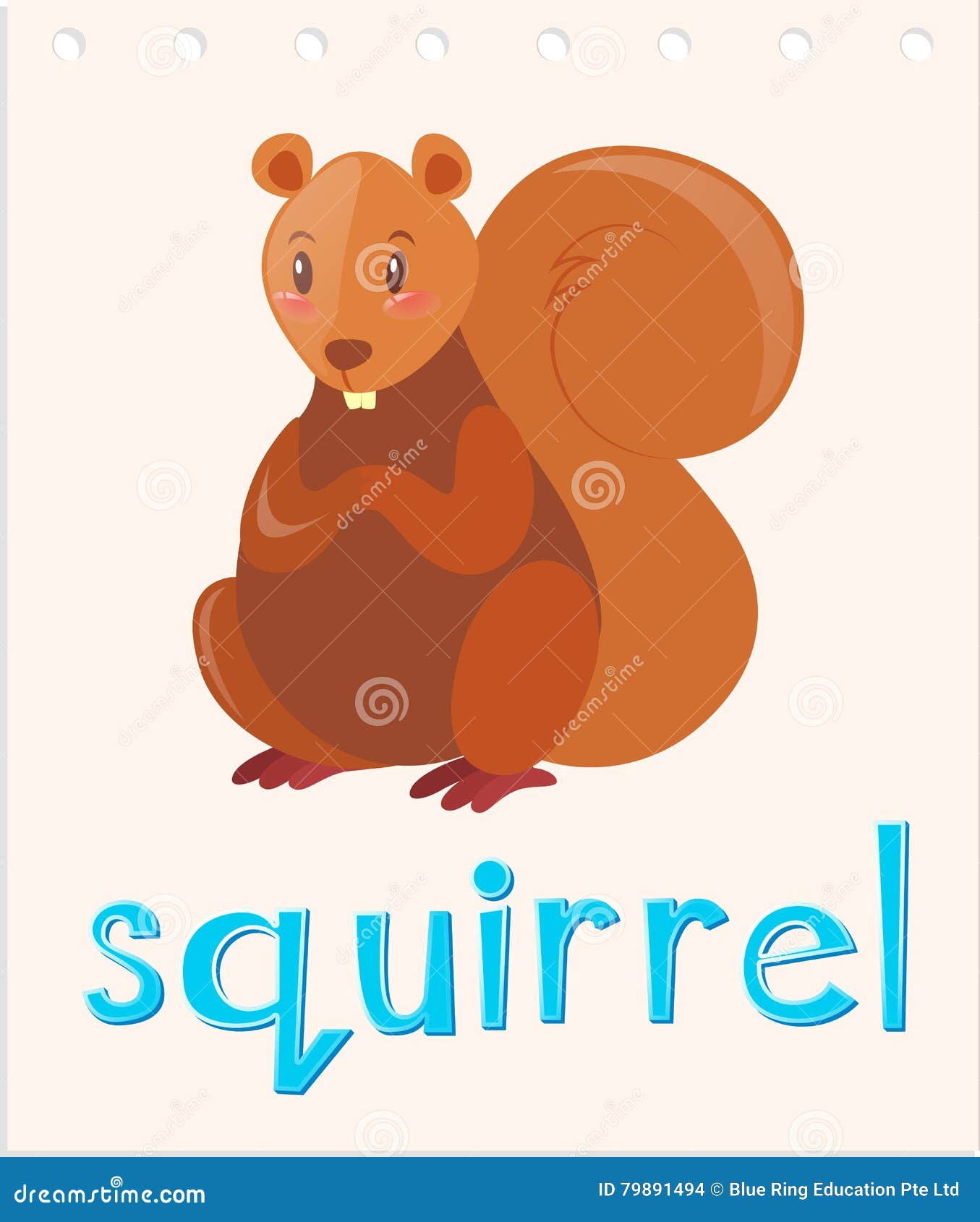 Flashcard with Word Squirrel Stock Vector - Illustration of letter ...