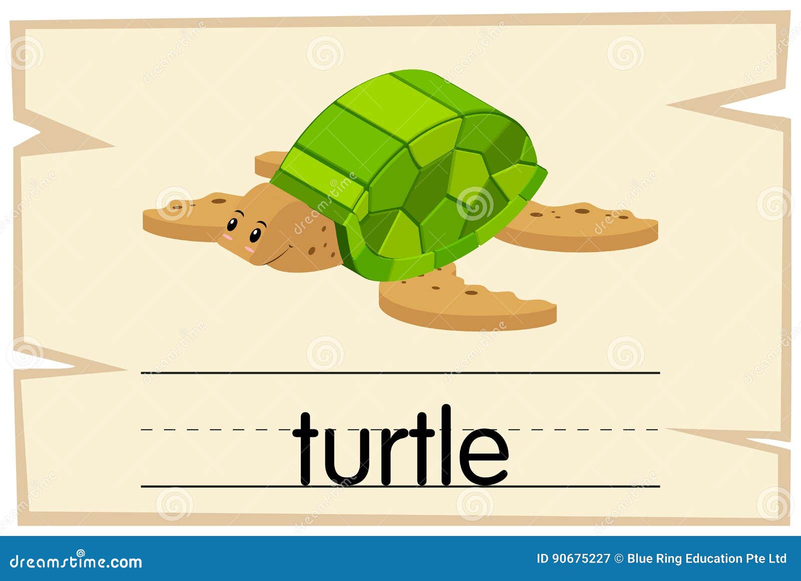 Flashcard for word turtle stock vector. Illustration of spelling - 90675227