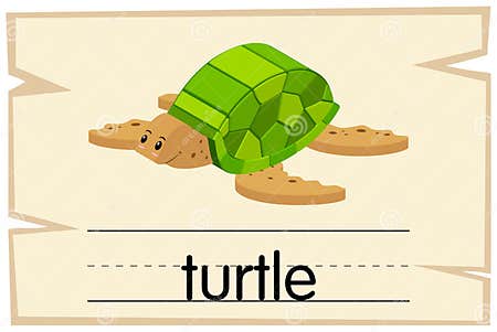Flashcard for word turtle stock vector. Illustration of spelling - 90675227