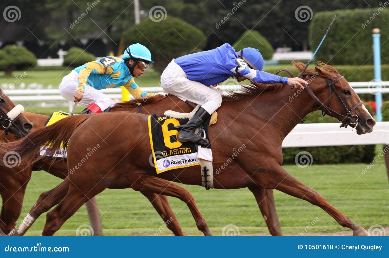 Flashing editorial image. Image of richard, horse, test - 10501610