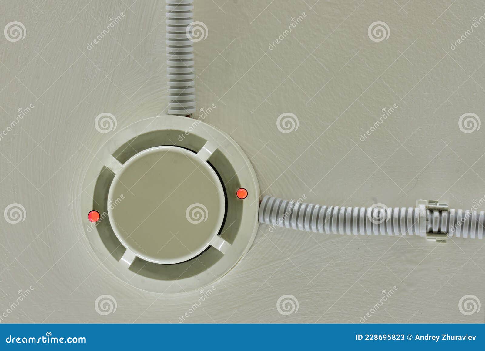 Flashing Red Lights Fire Alarm System on the Ceiling in the Room ...