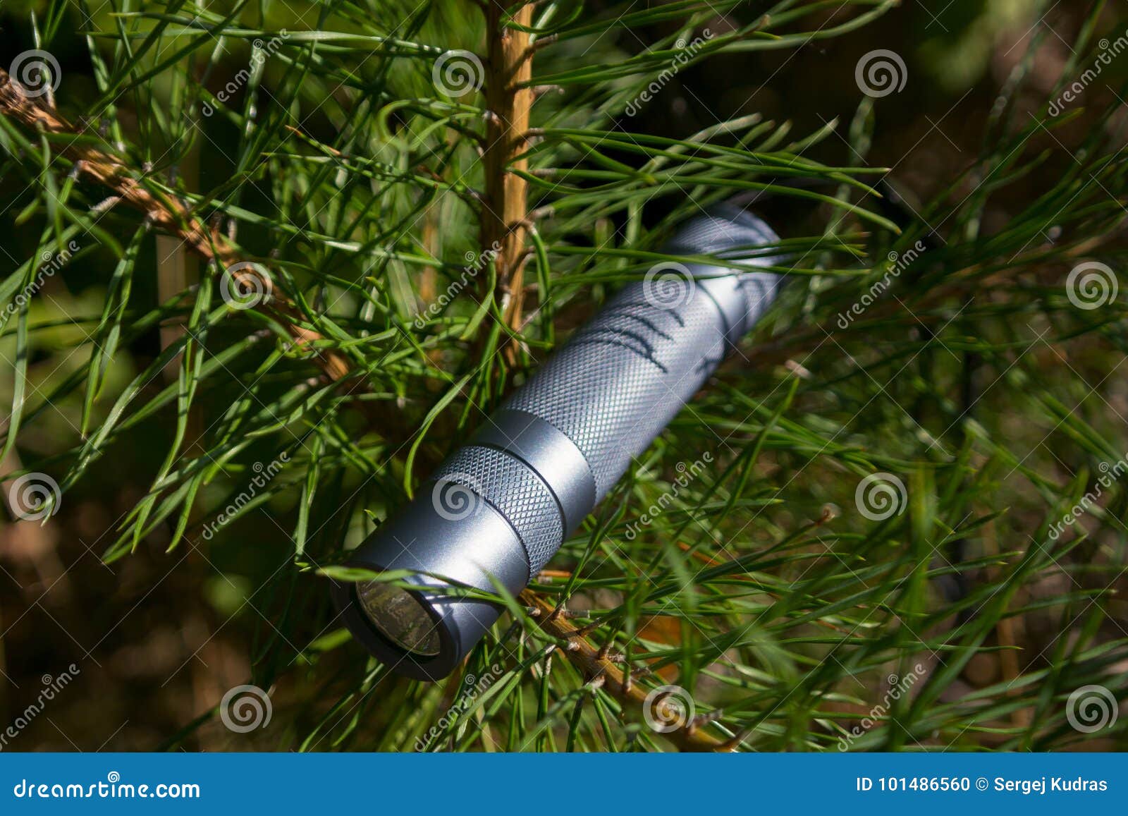 Flashlight on green tree stock photo. Image of green - 101486560
