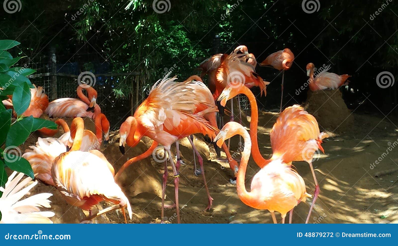 Flashy display stock photo. Image of display, stuff, showing - 48879272