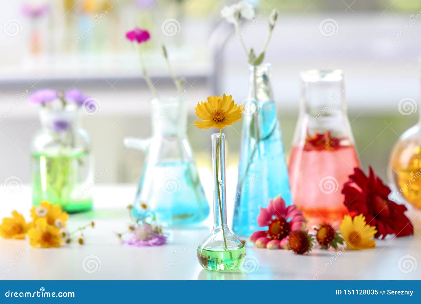 Flask with Plant on Table in Laboratory Stock Image - Image of botany ...