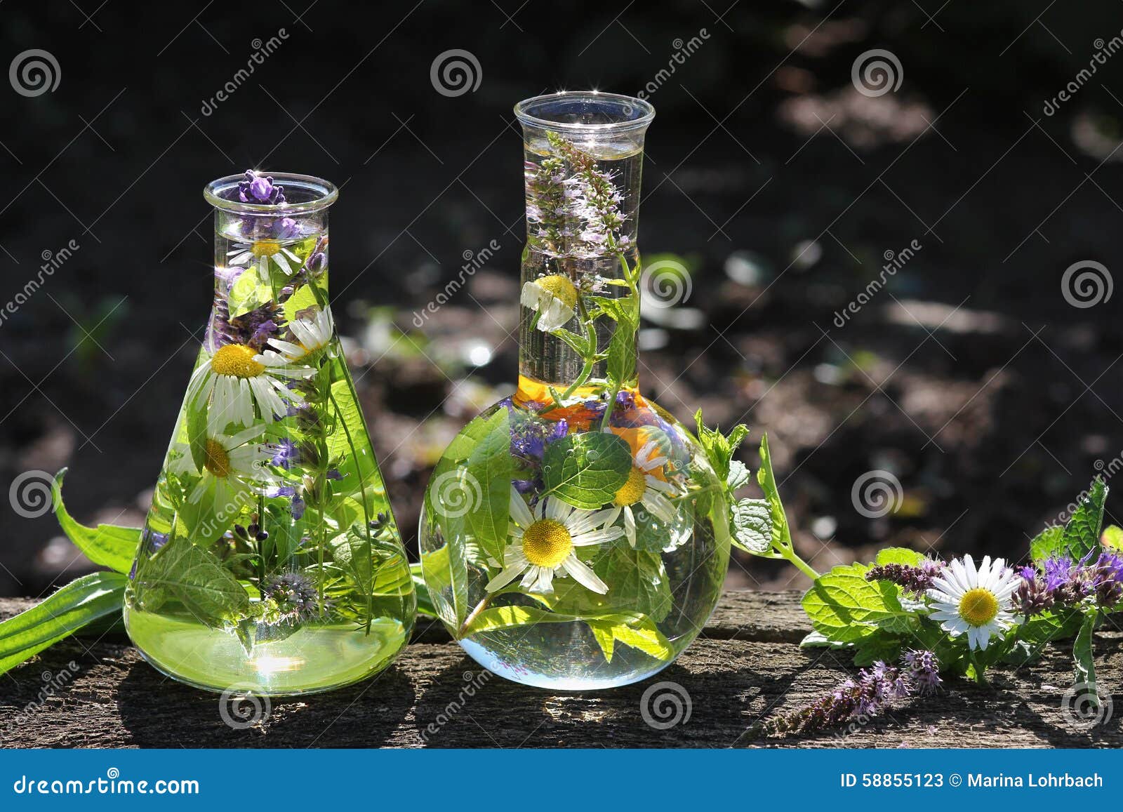 Flasks with Medicinal Herbs Stock Image - Image of provence, flat: 58855123