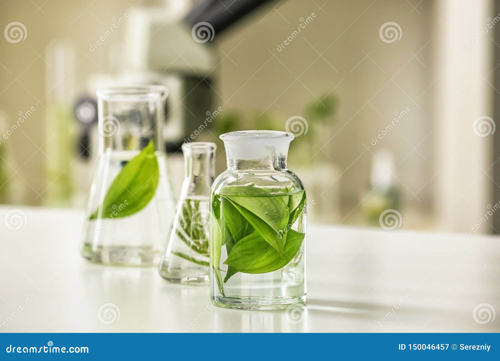 Flasks with Plants on Table in Laboratory Stock Image - Image of flask ...