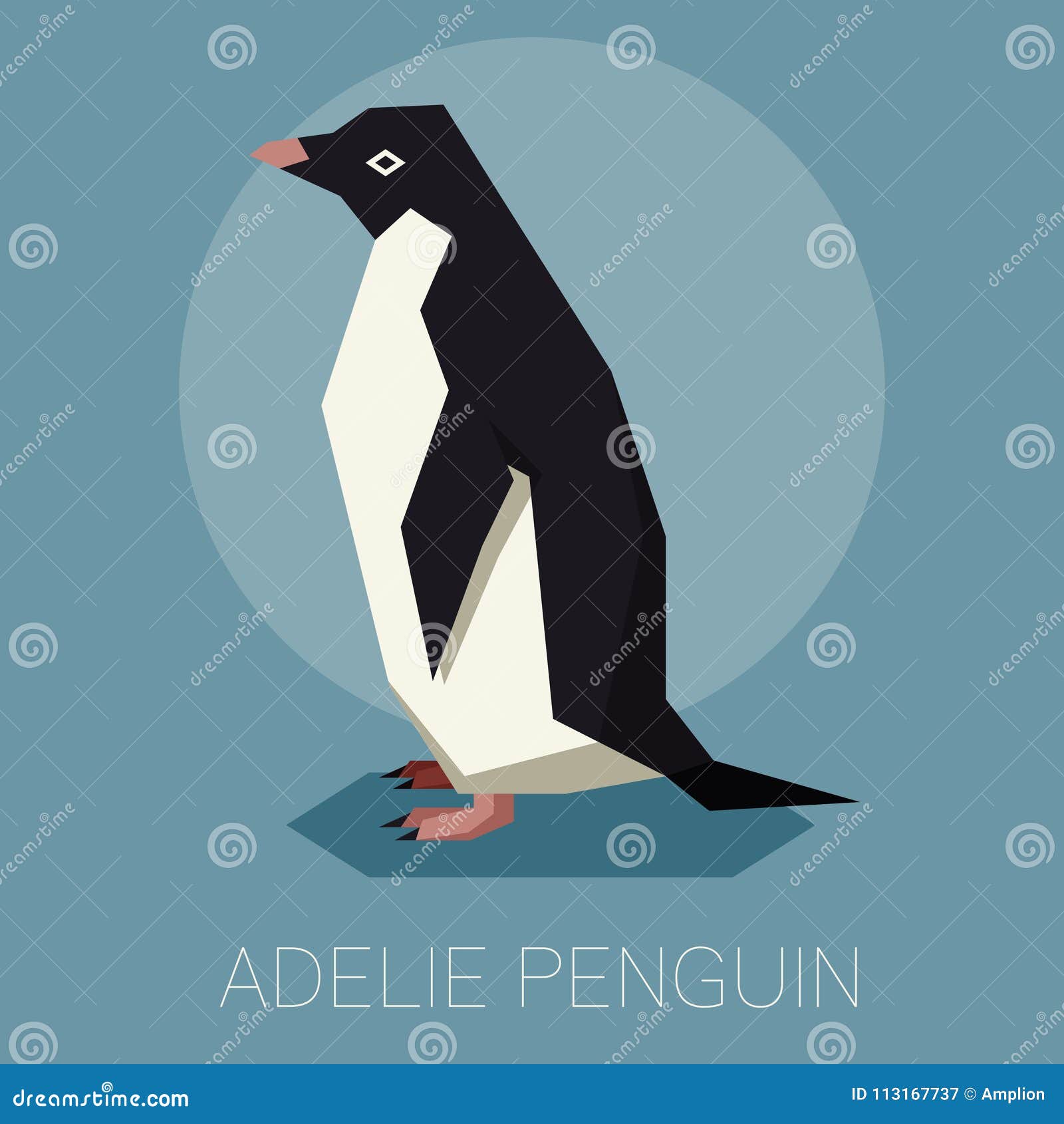 Adelie Penguin Logo Icon Designs Illustration Royalty-Free Cartoon ...