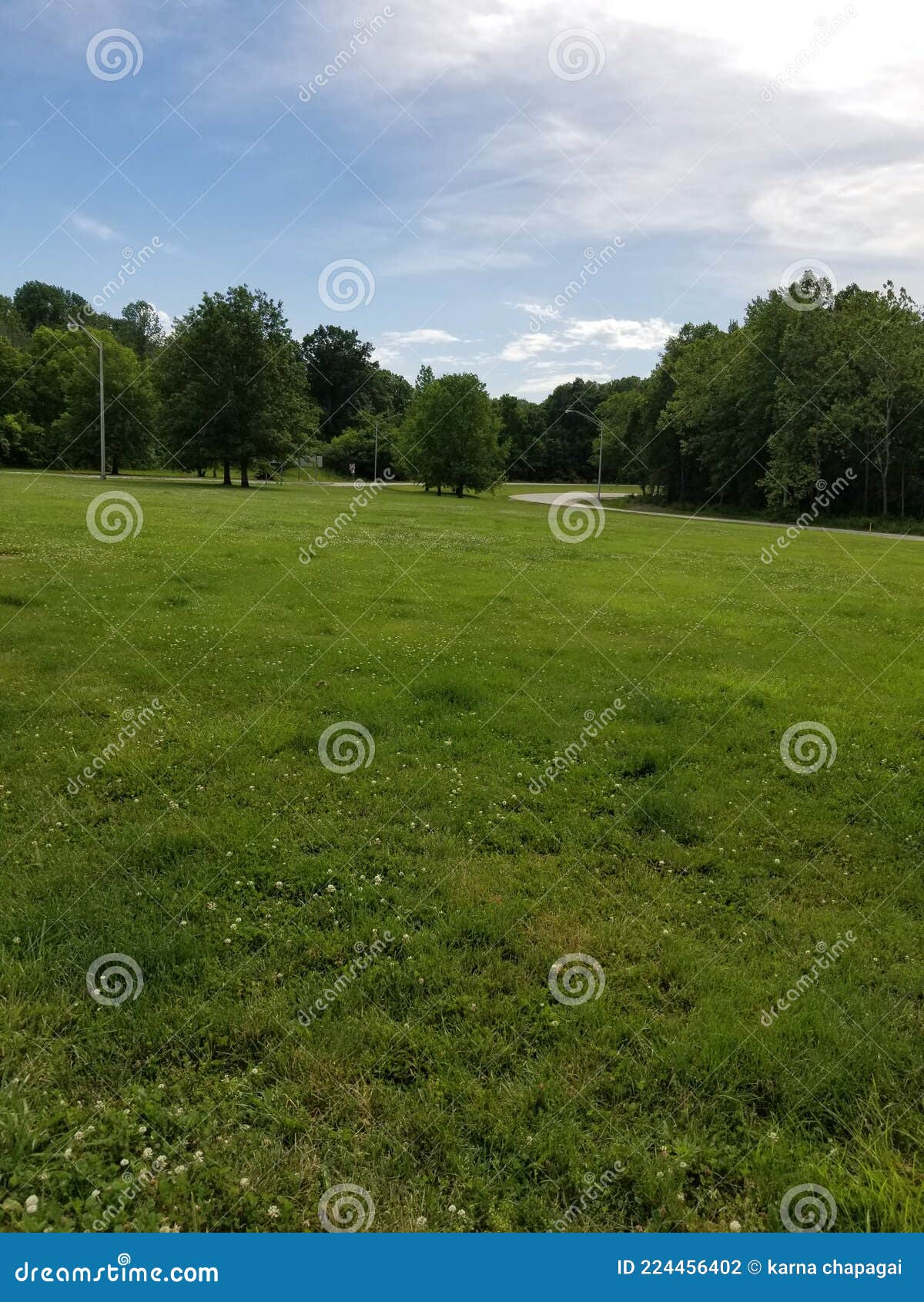 Flat Areas Of Grass Land Surrounded By Trees They Are Often Located Between Temperate Forest At