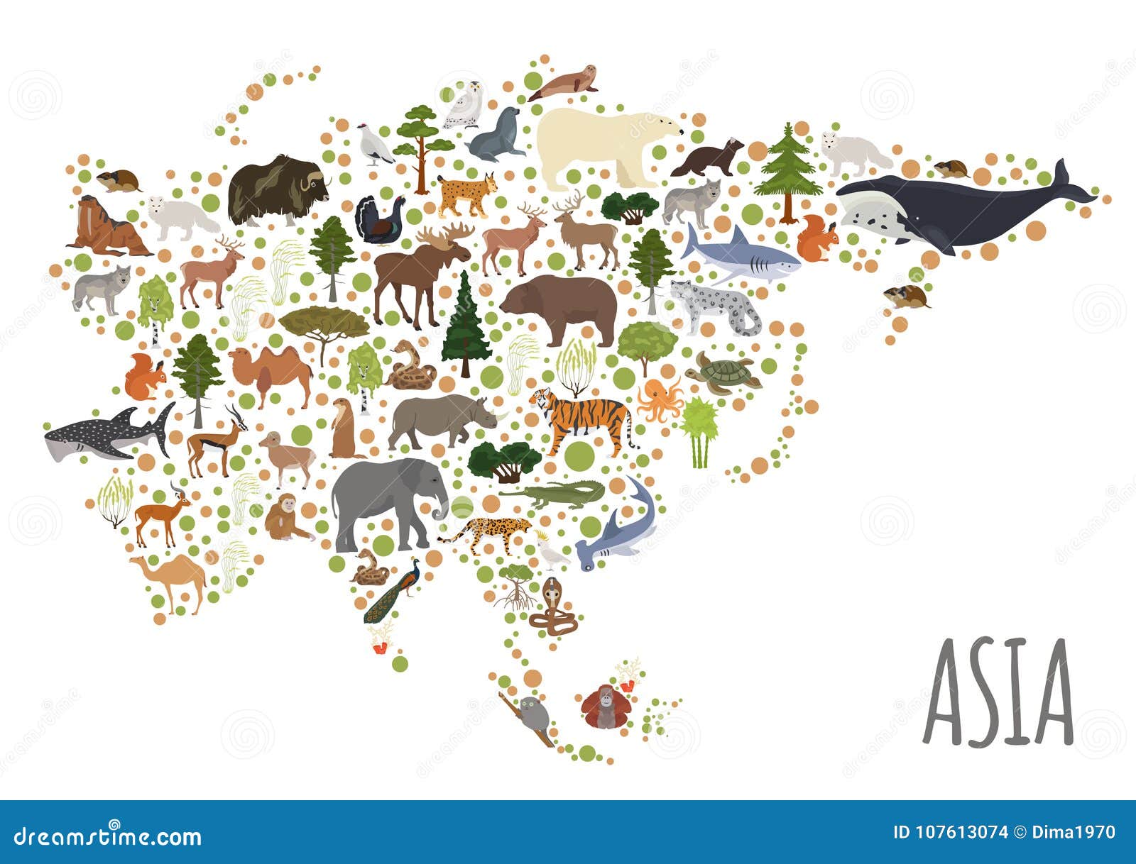 Flat Asian Flora and Fauna Map Constructor Elements. Animals, Bi Stock ...