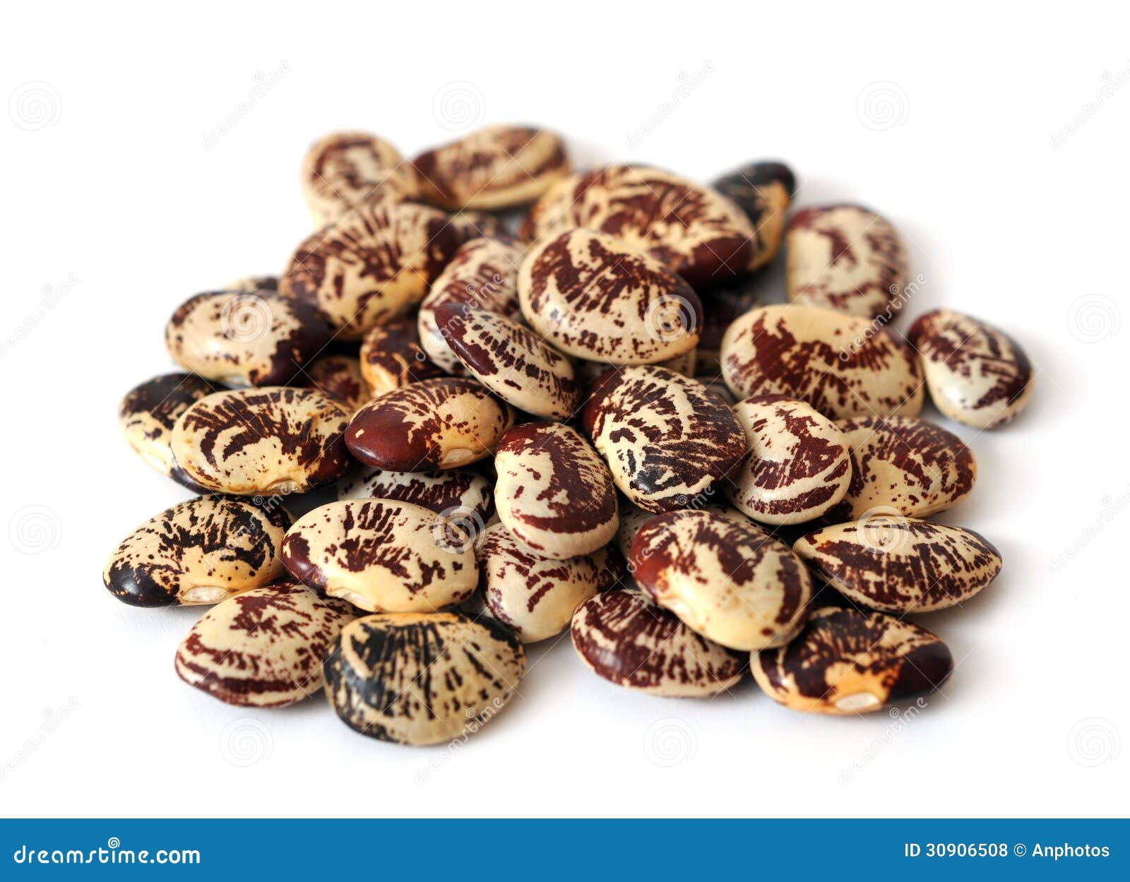 Flat beans stock photo. Image of beans, phaseolus, brown - 30906508