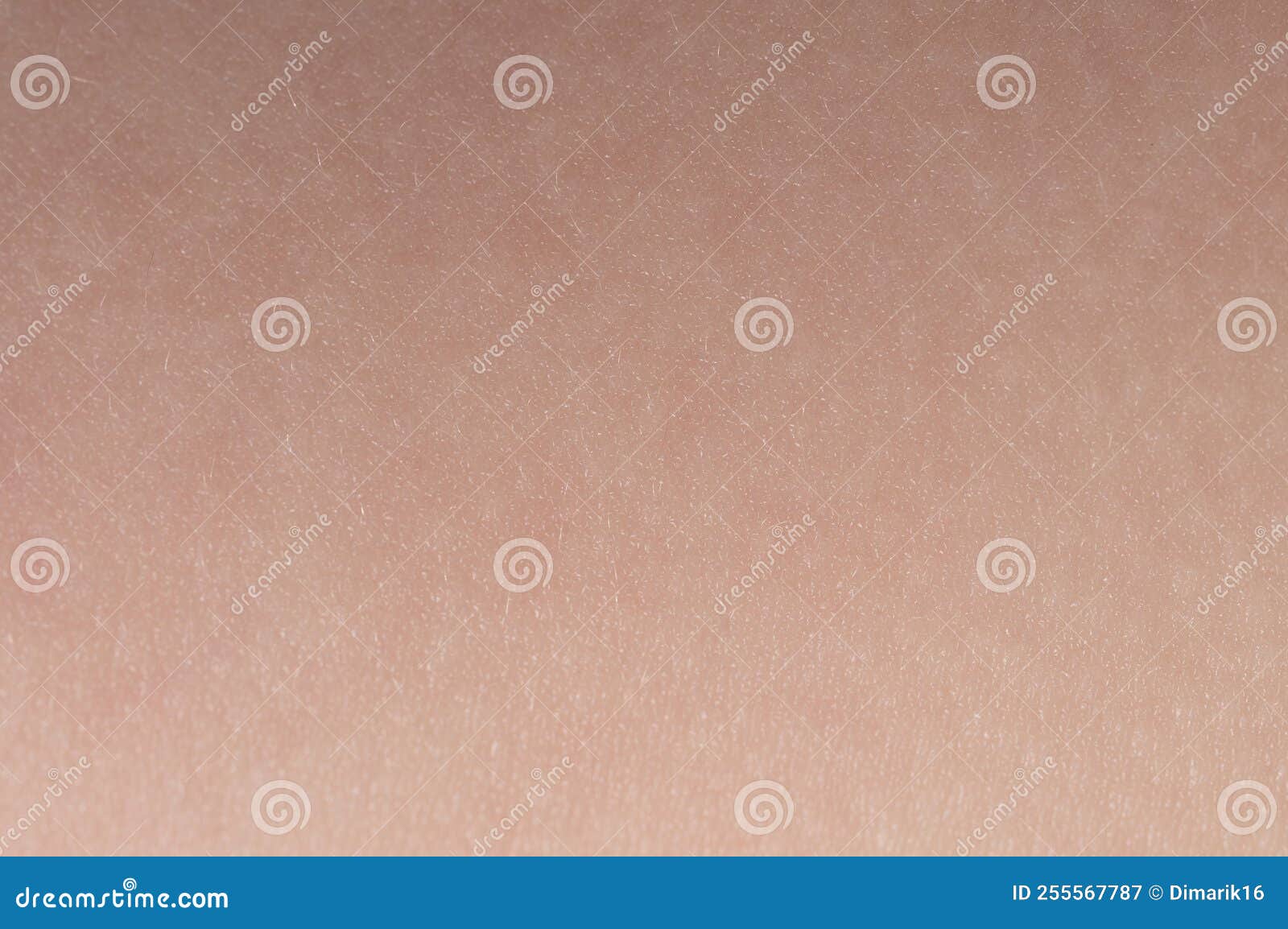 Flat Blank Human Skin Texture Stock Image - Image of male, background ...