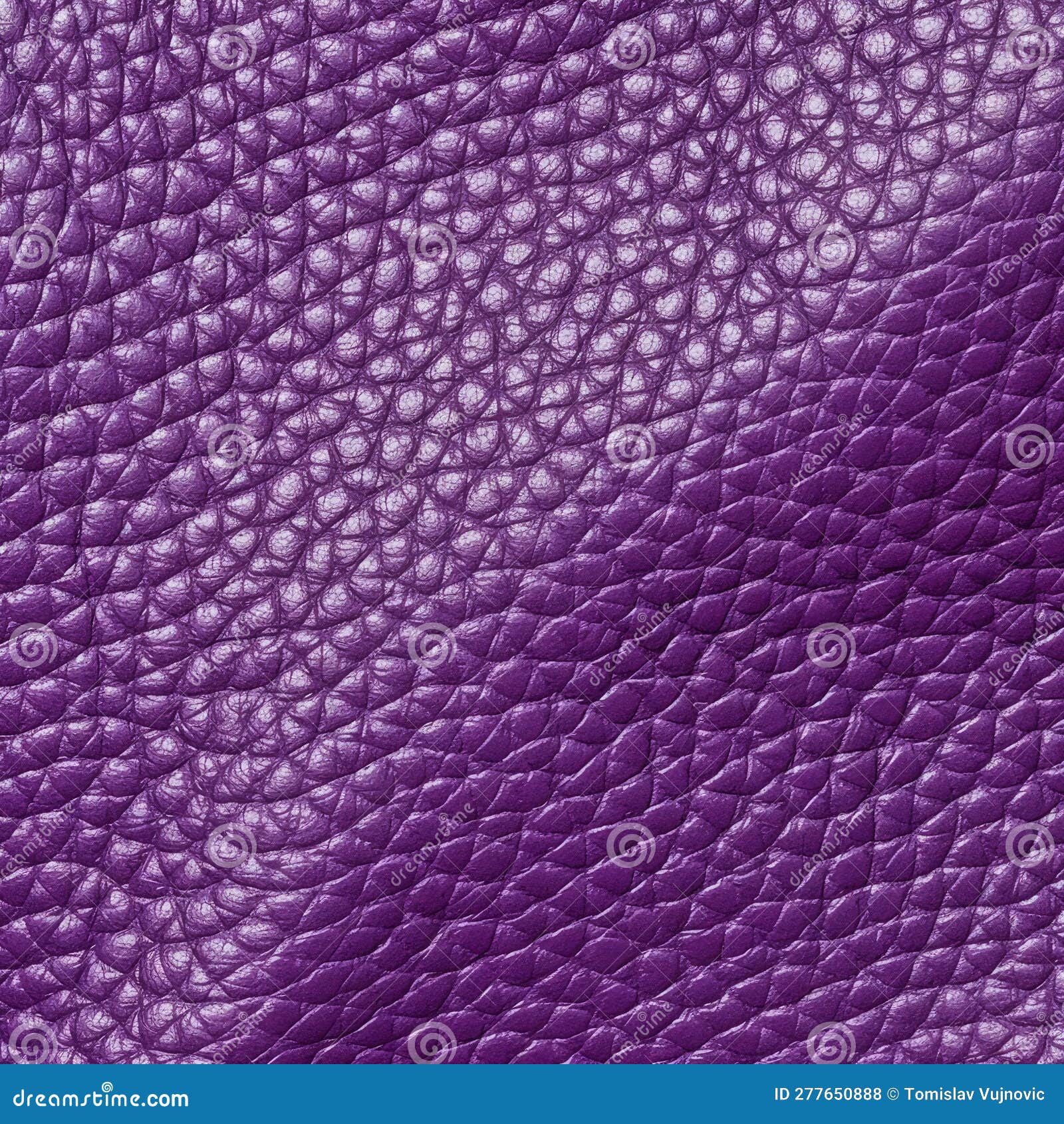 Flat Blank Purple Leather Texture Stock Illustration - Illustration of ...
