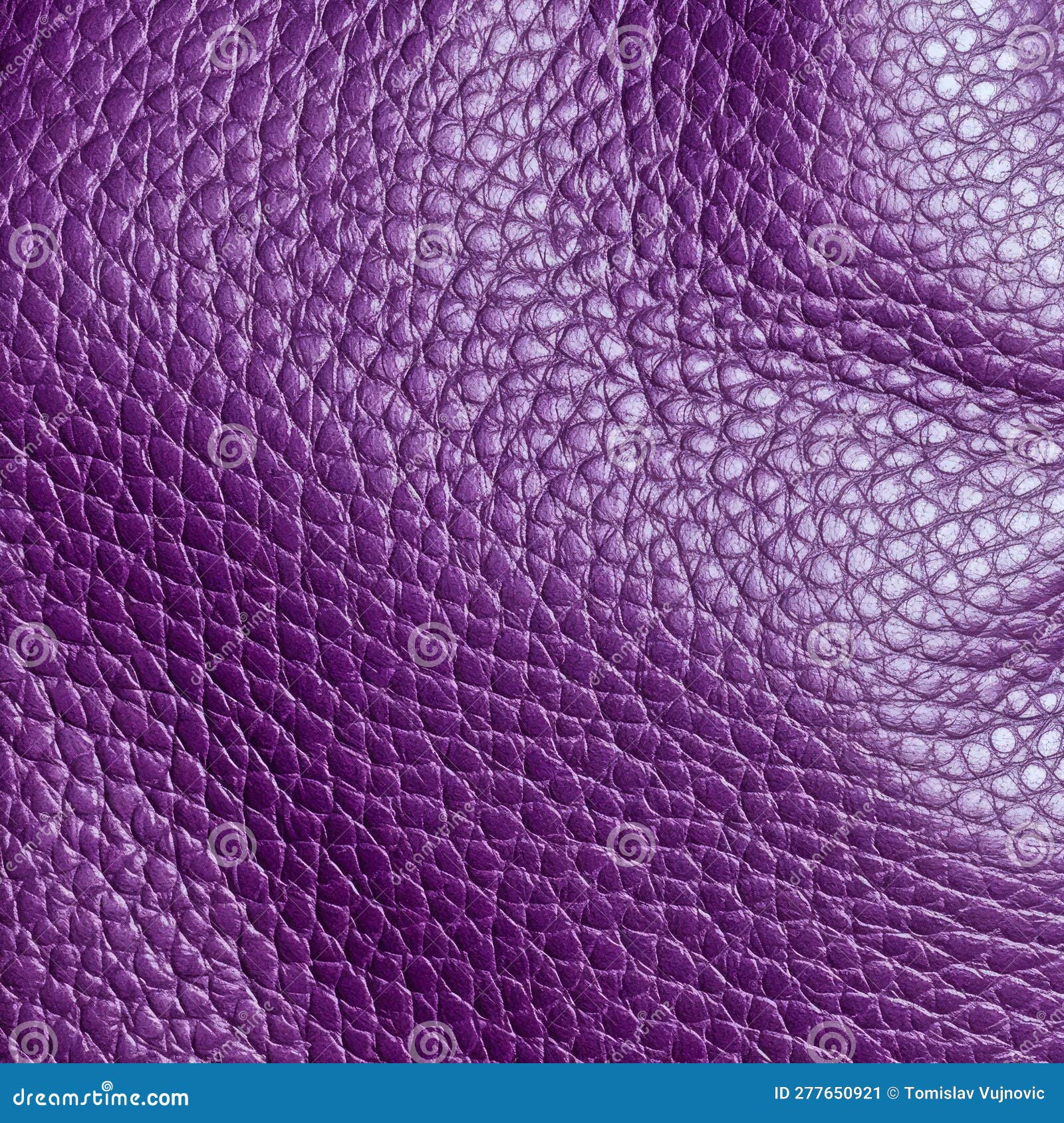 Flat Blank Purple Leather Texture Stock Illustration - Illustration of ...