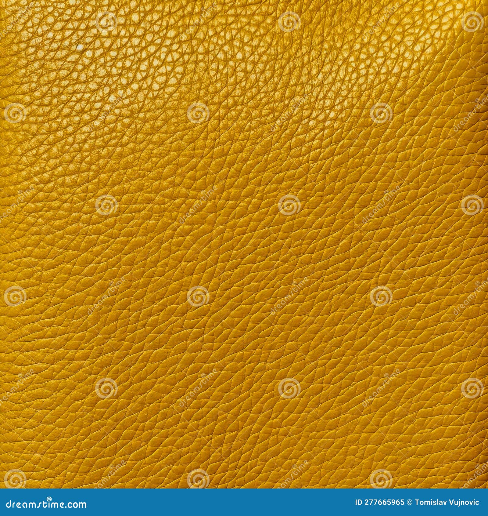 Flat Blank Yellow Leather Texture Stock Illustration - Illustration of ...