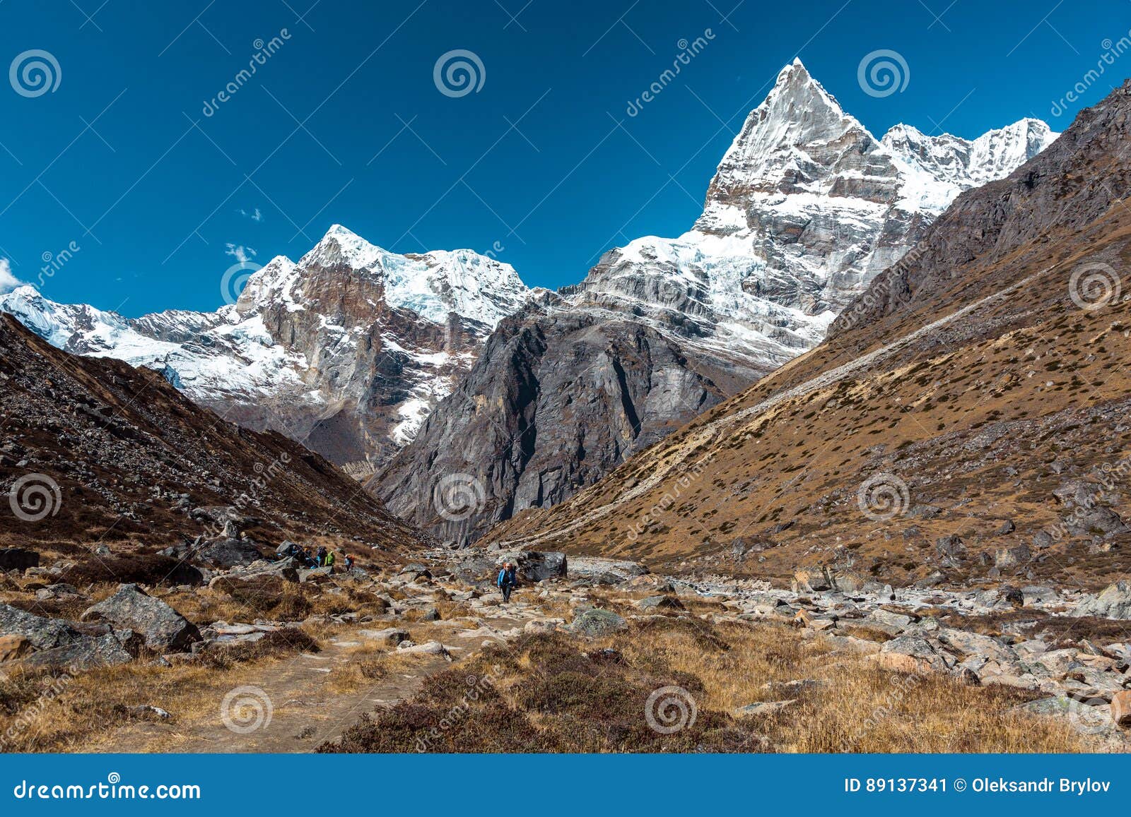 Flat Bottom of Valley and Sharp High Peaks of Himalaya Editorial Photo ...