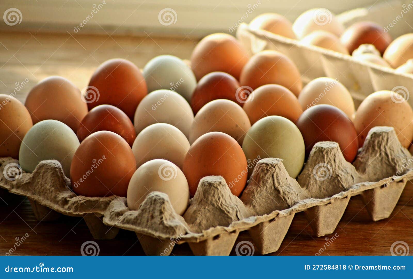 Flat Carton of Eggs, Naturally Rainbow Colored Shells from Local Farm ...