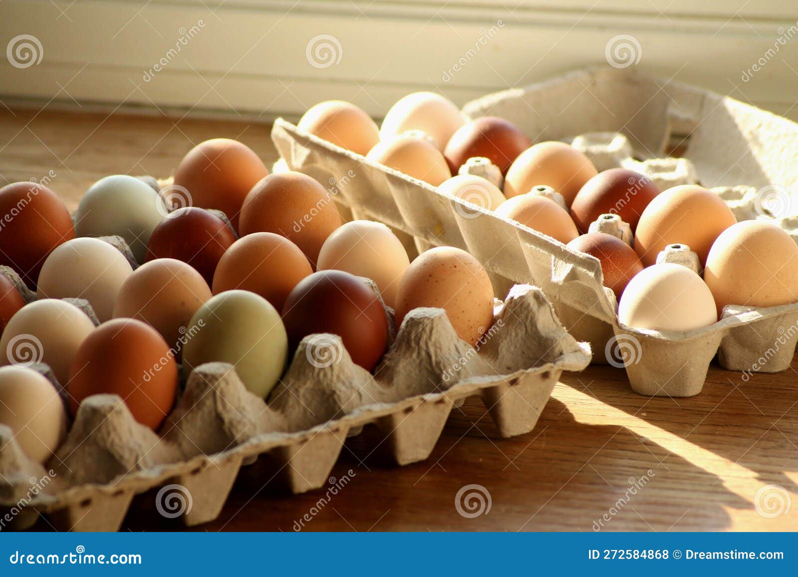 Flat Carton of Eggs, Naturally Rainbow Colored Shells from Local Farm ...