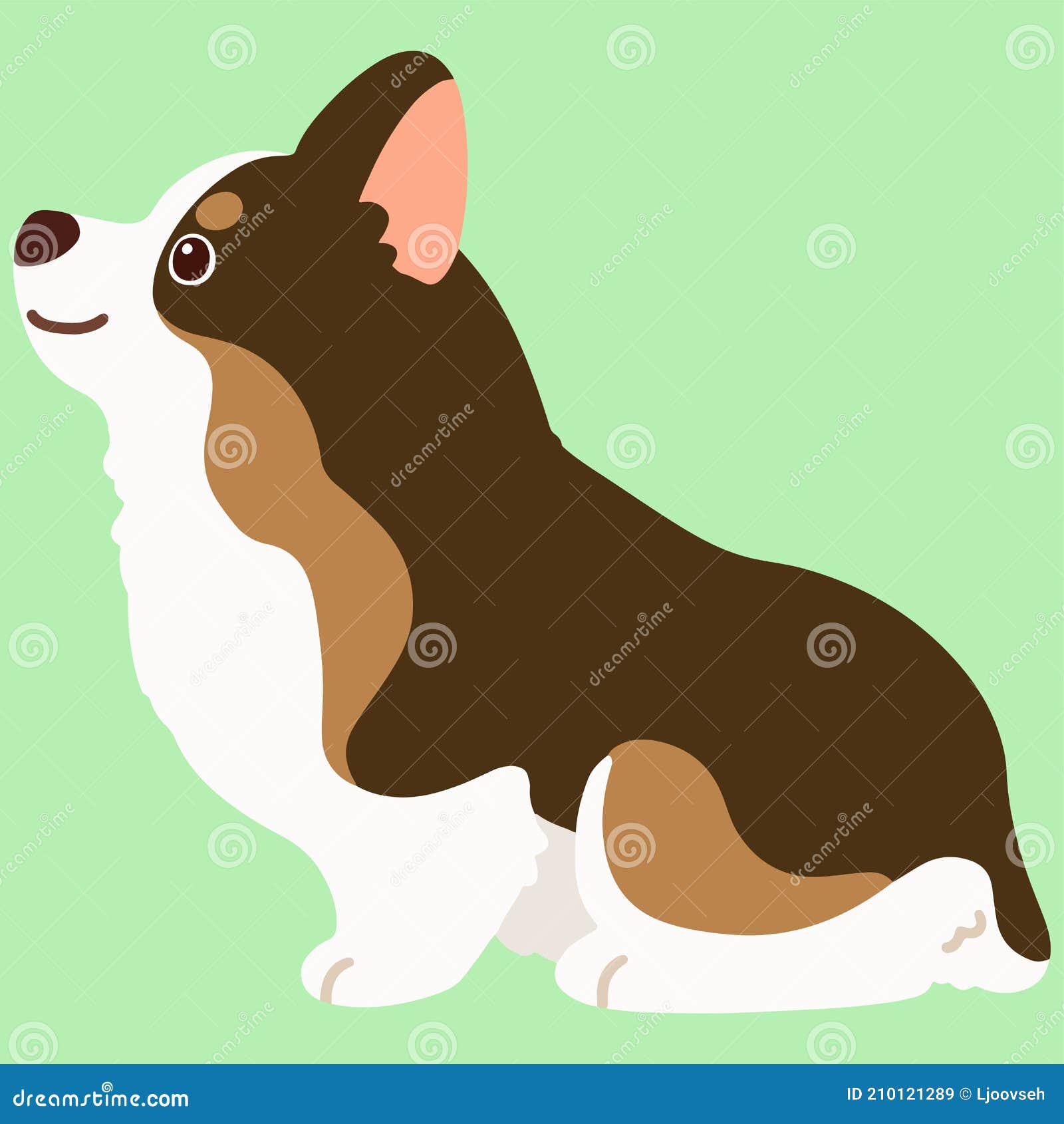 Flat Colored Cute Sable Colored Corgi Sitting in Side View Stock Vector ...