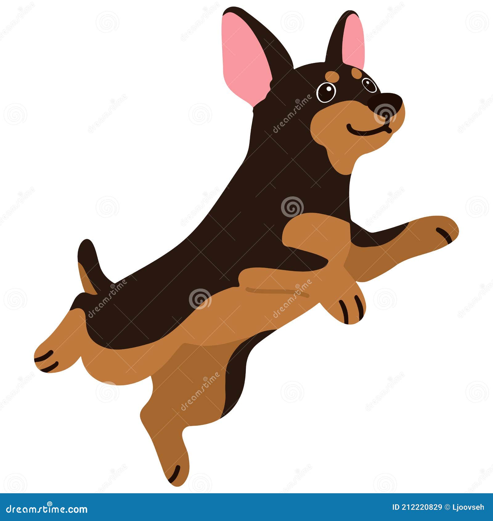 Flat Colored Miniature Pinscher Jumping Stock Vector - Illustration of ...