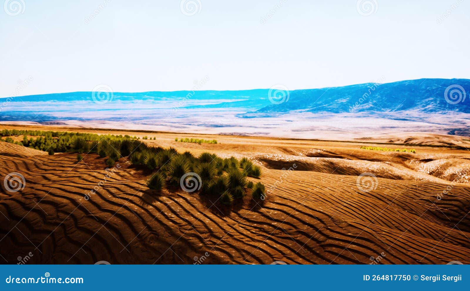 Flat Desert with Bush and Grass Stock Photo - Image of barren ...