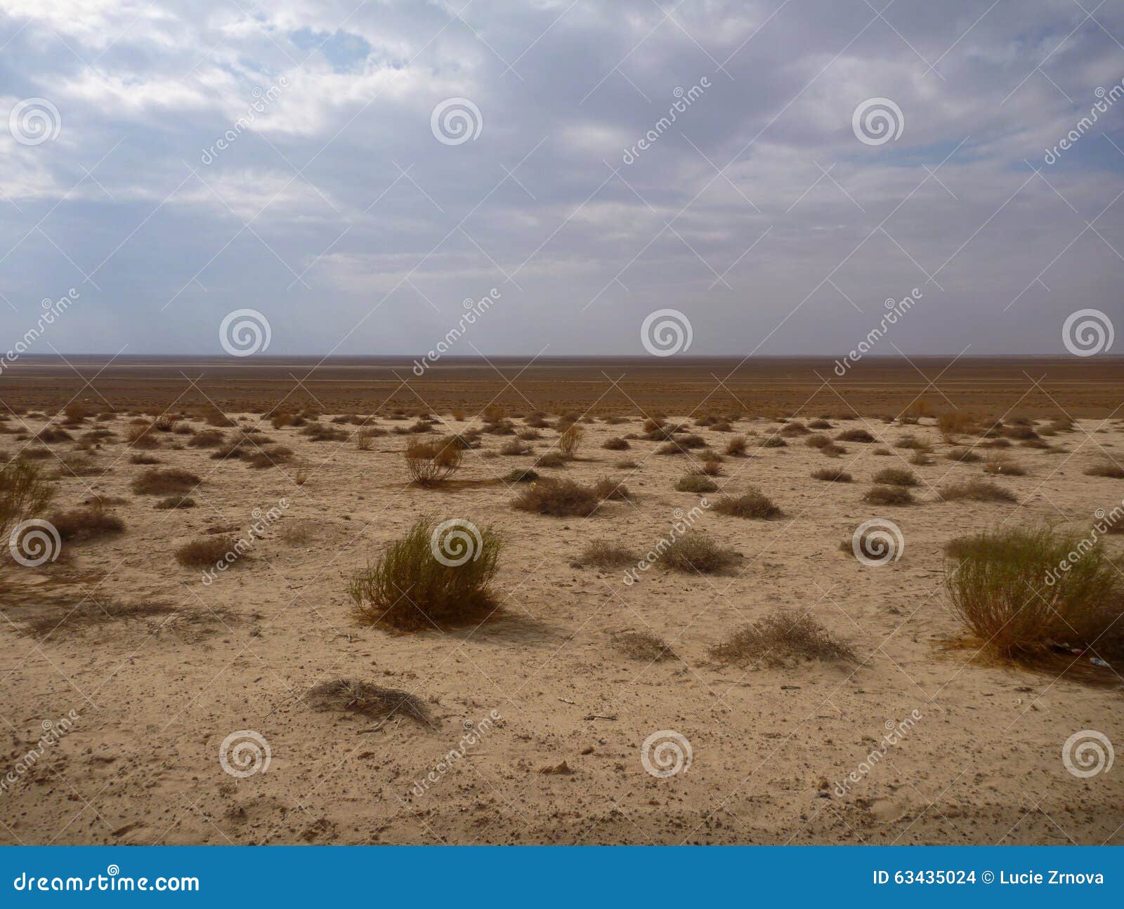 Flat Desert Horizont with Small Dry Bushes in Forefront Stock Photo ...