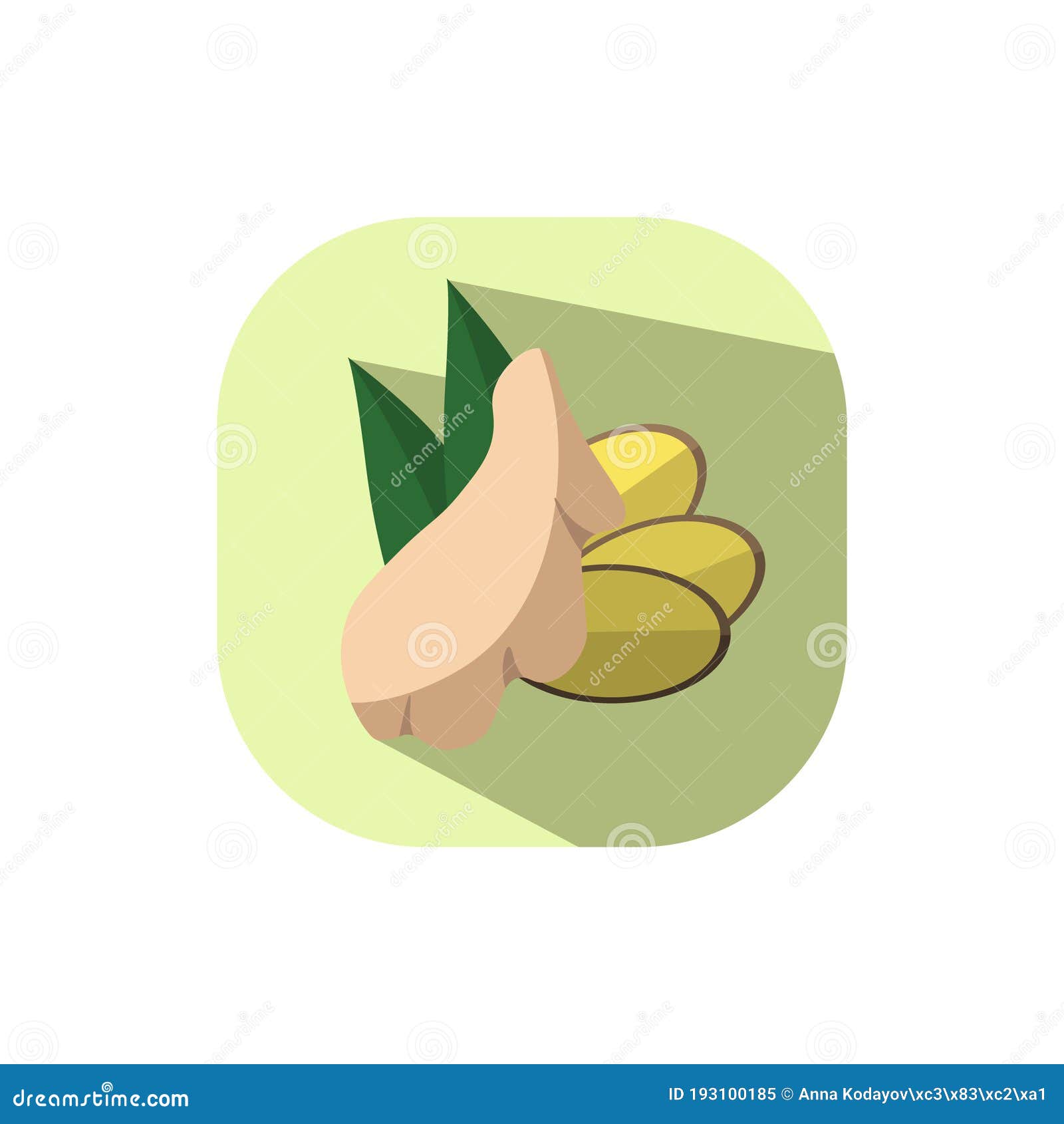 Flat design ginger stock vector. Illustration of flat - 193100185