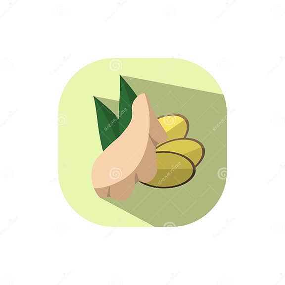 Flat design ginger stock vector. Illustration of flat - 193100185