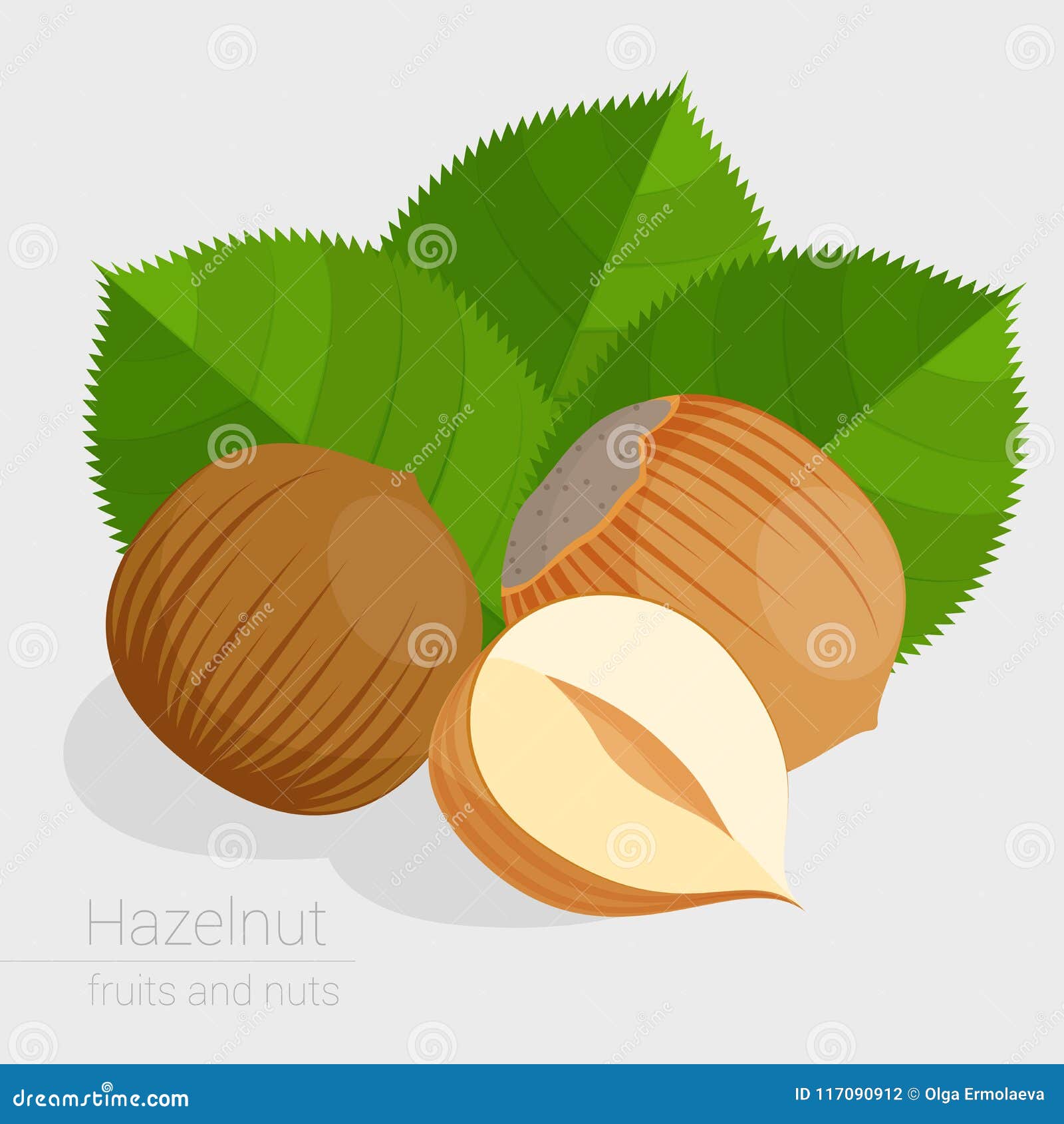 Hazelnut vector icon stock vector. Illustration of hazelnut - 117090912