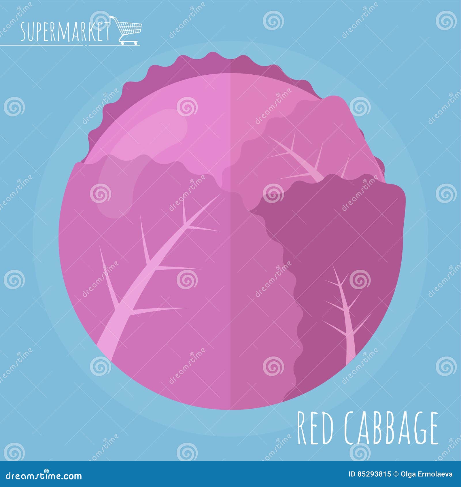 Flat design red cabbage stock vector. Illustration of concept - 85293815