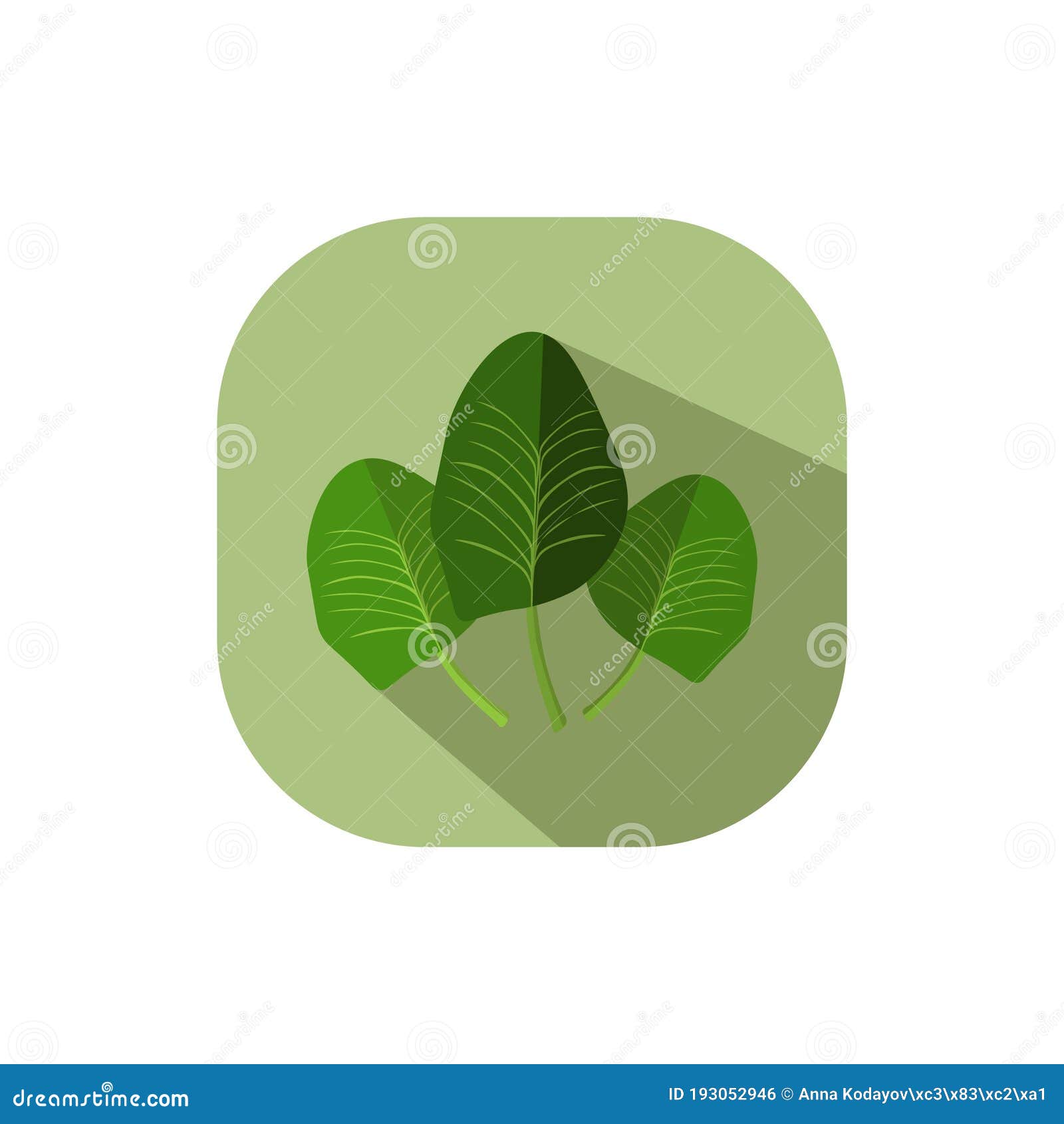 Flat design spinach stock vector. Illustration of baby - 193052946