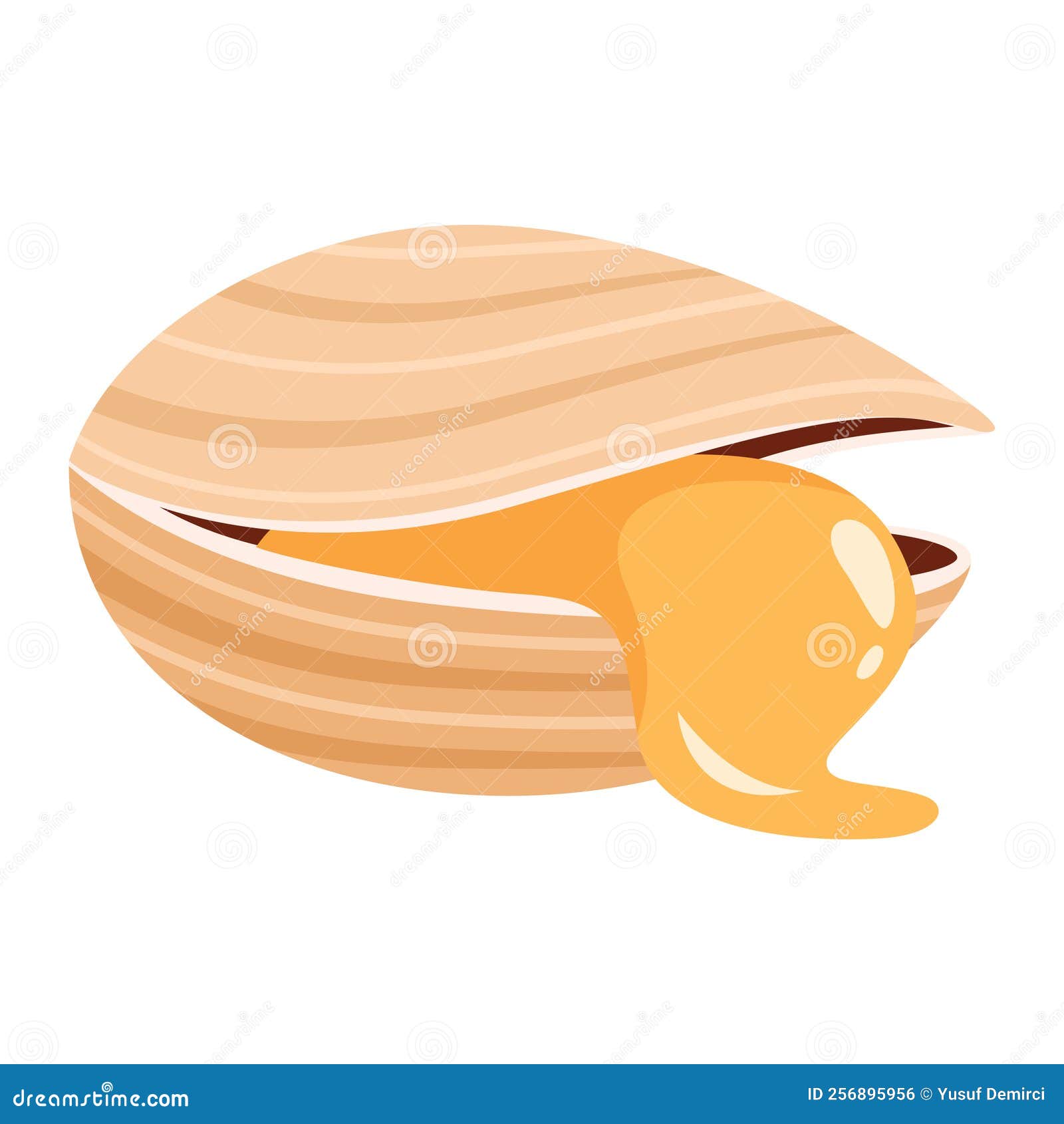 Flat Drawing of a stock illustration. Illustration of clams - 256895956