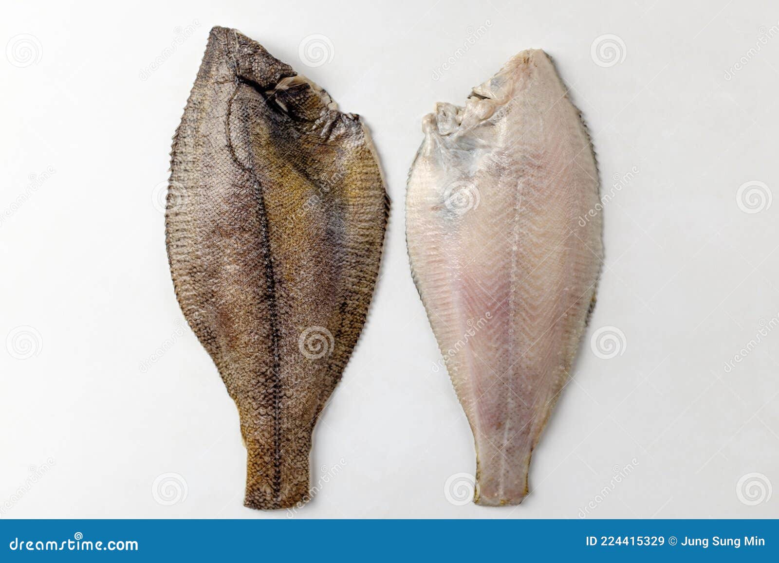 Flat Fish on a White Background Stock Image - Image of flat, foodstuff ...