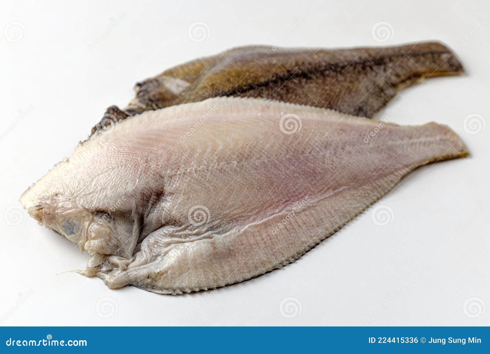 Flat Fish on a White Background Stock Photo - Image of ingredients ...