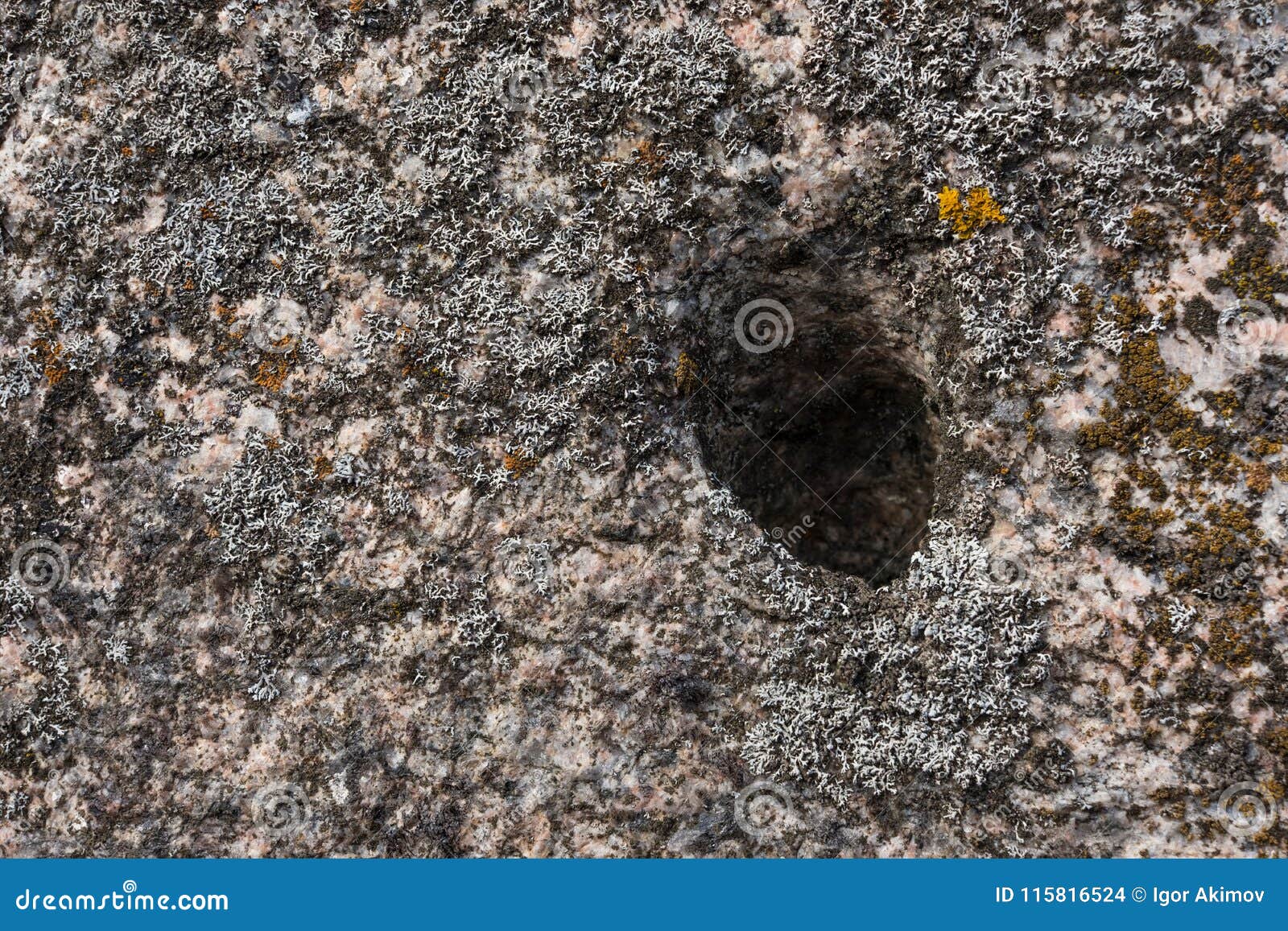 Granite Surface Overgrown with Moss Stock Photo - Image of grown, moss ...