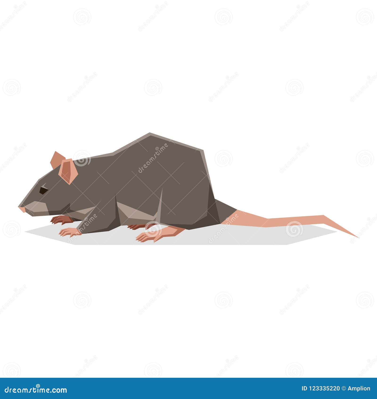 Flat Rat Stock Illustrations – 7,962 Flat Rat Stock Illustrations ...