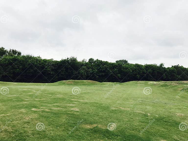 Flat grass fields stock image. Image of fields, southern - 107334583