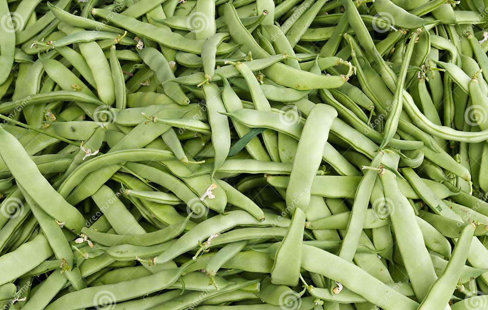 Flat Green Beans on Display Stock Image - Image of green, healthy: 20745681