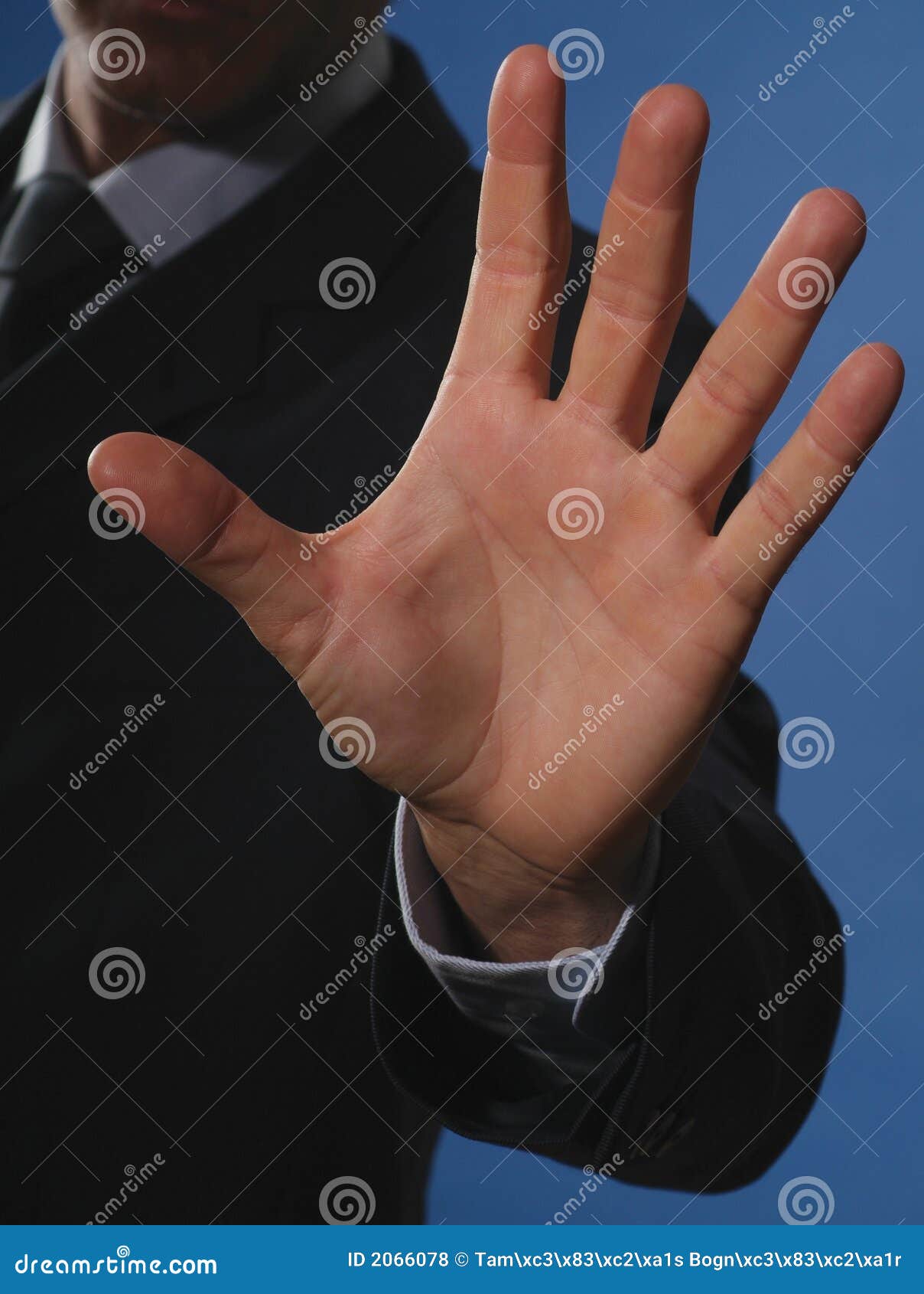 Flat of the hand stock photo. Image of life, bode, flat - 2066078