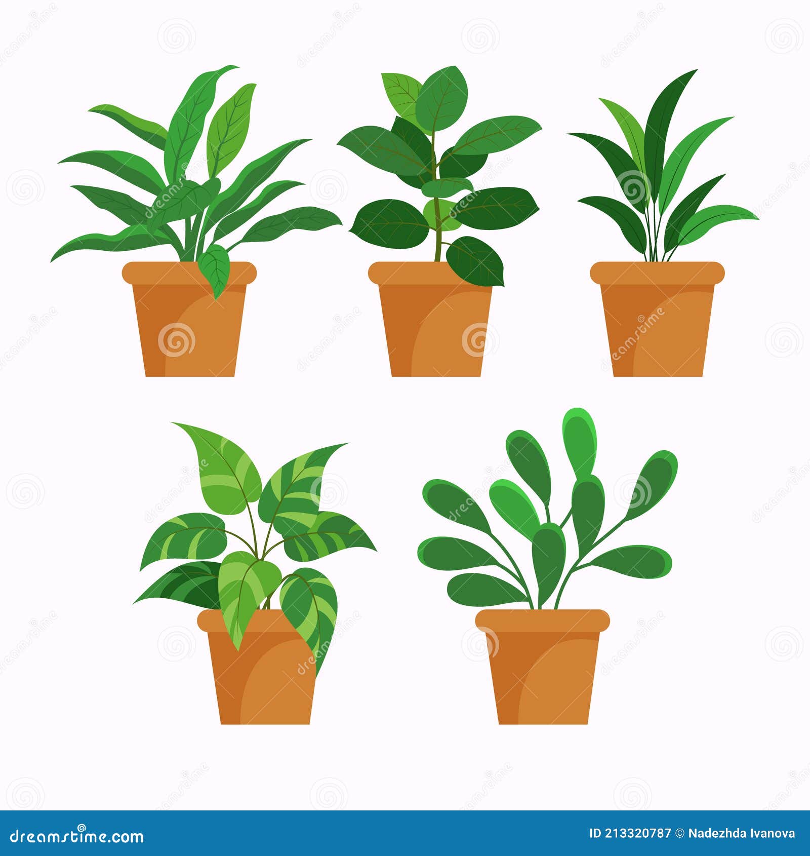 Flat Houseplant Collection Vector Illustration Stock Vector