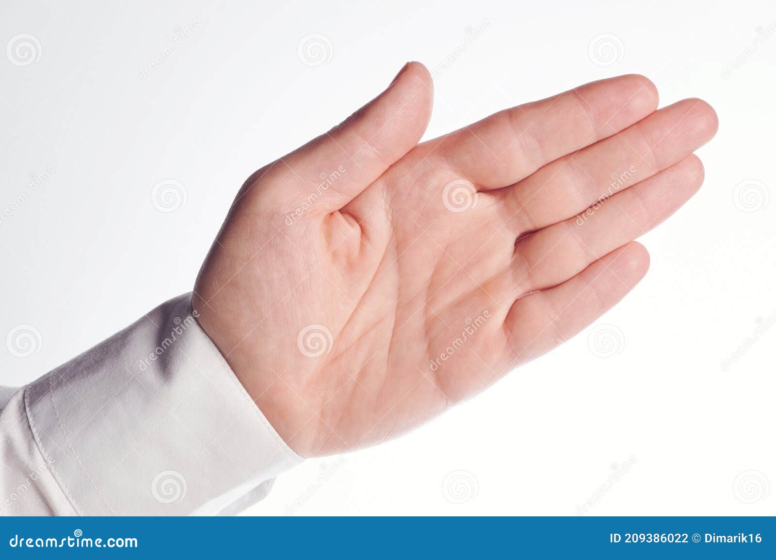 Flat human open palm stock photo. Image of holding, closeup - 209386022